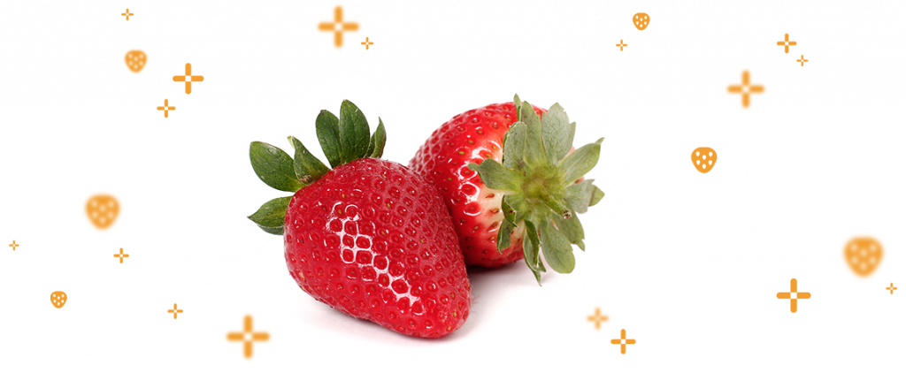 Fresa - Plus Berries