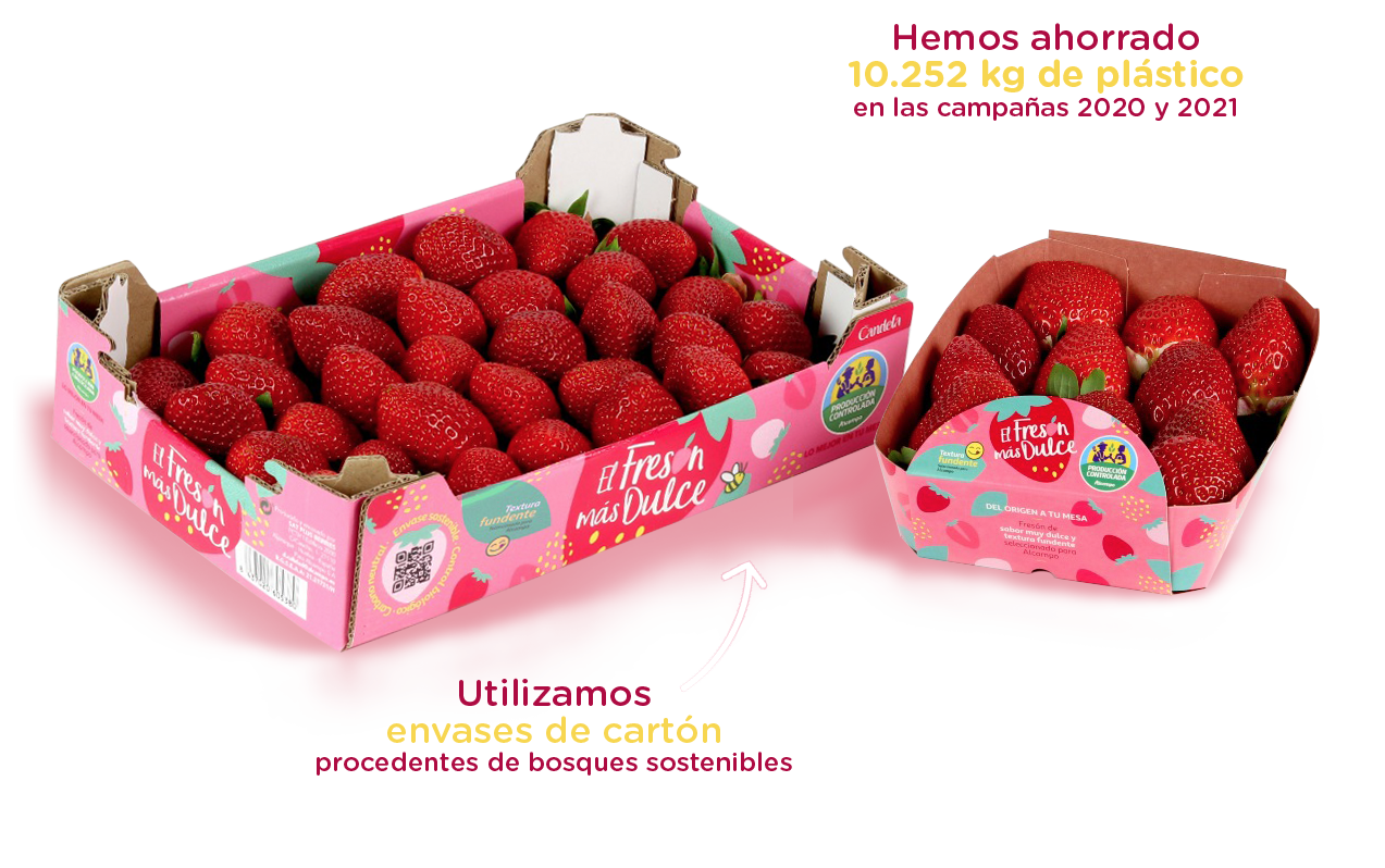El fresón más dulce - Plus Berries